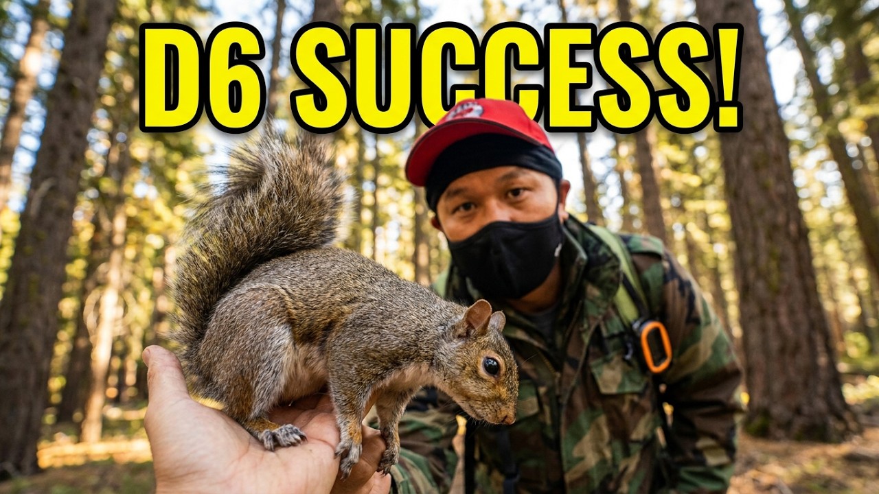 Hunting Video in CA D6 - YouTube