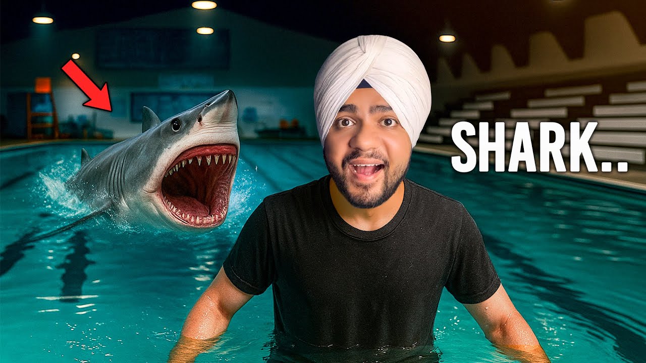 Wait.. There’s a SHARK in the Swimming Pool? - YouTube
