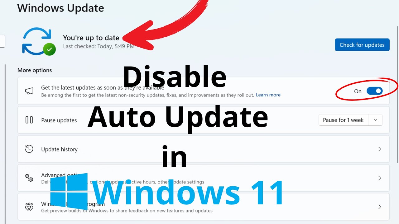 How to Disable Auto Update in Windows 11 - YouTube