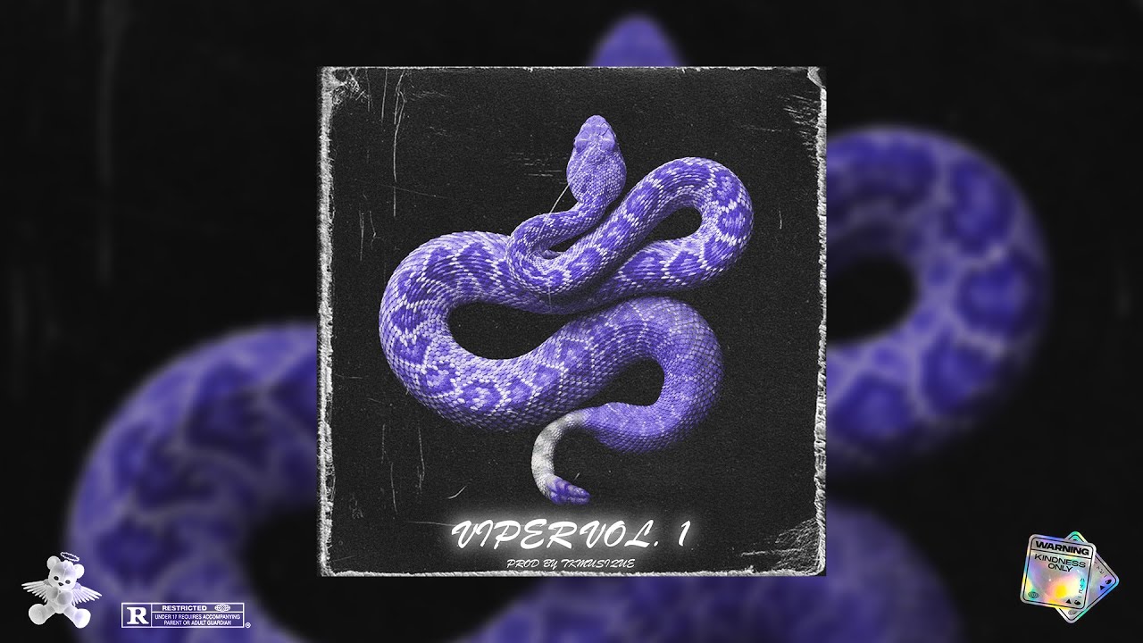 (FREE) Loop Kit "Viper Vol. 1" - Dark Ethnic Cubeatz, Pvlace, Southside ...