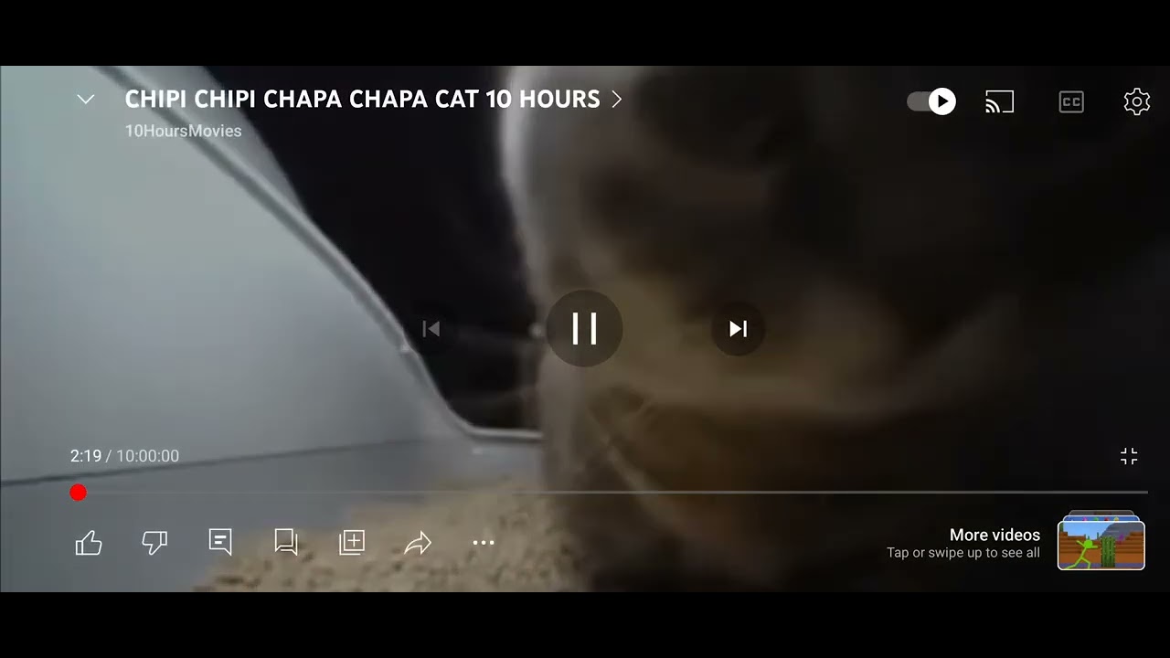 chipi chipi chapa chapa - YouTube