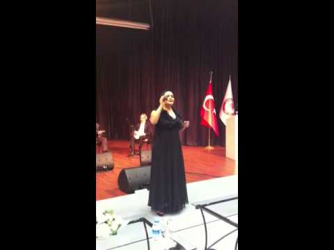 Zerrin Evci  'ben seni unutmak için sevmedim'