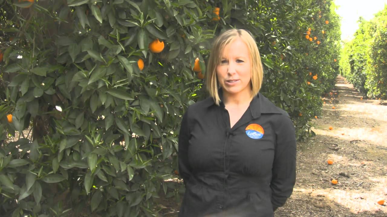 Jennifer LoBue Talks About the Importance of Family at LoBue Citrus ...