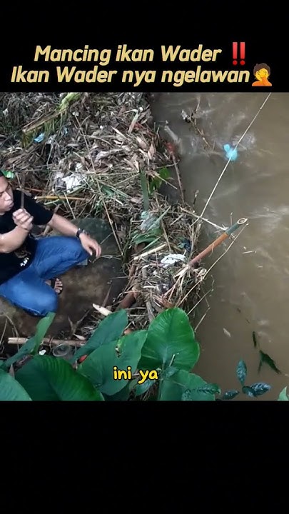 Mancing ikan Wader‼️ Ikan Wader nya ngelawan 🤦 #bagjanpb #mancingwader #mancingikanwader - YouTube