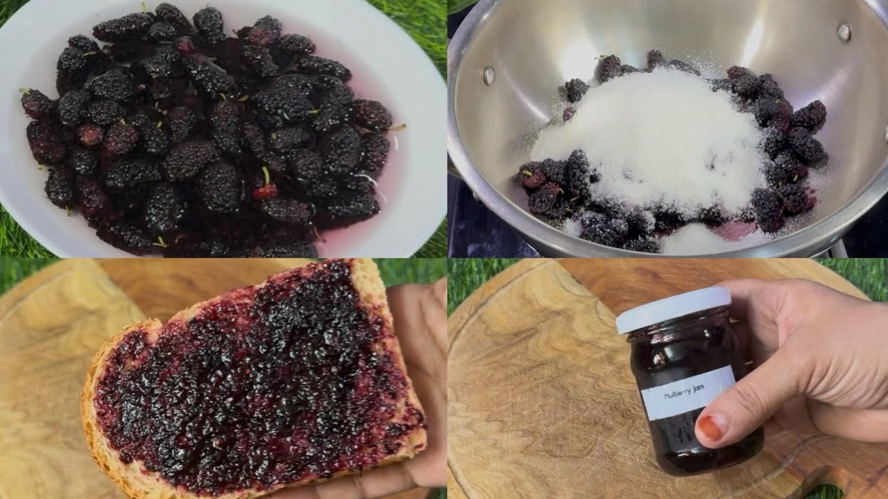 Mulberry Jam Recipe | Just 3 Ingredients Mulberry Jam Recipe |Homemade ...