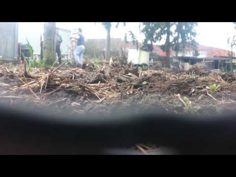 Almanya Turnovası ( Züber & fetiş )