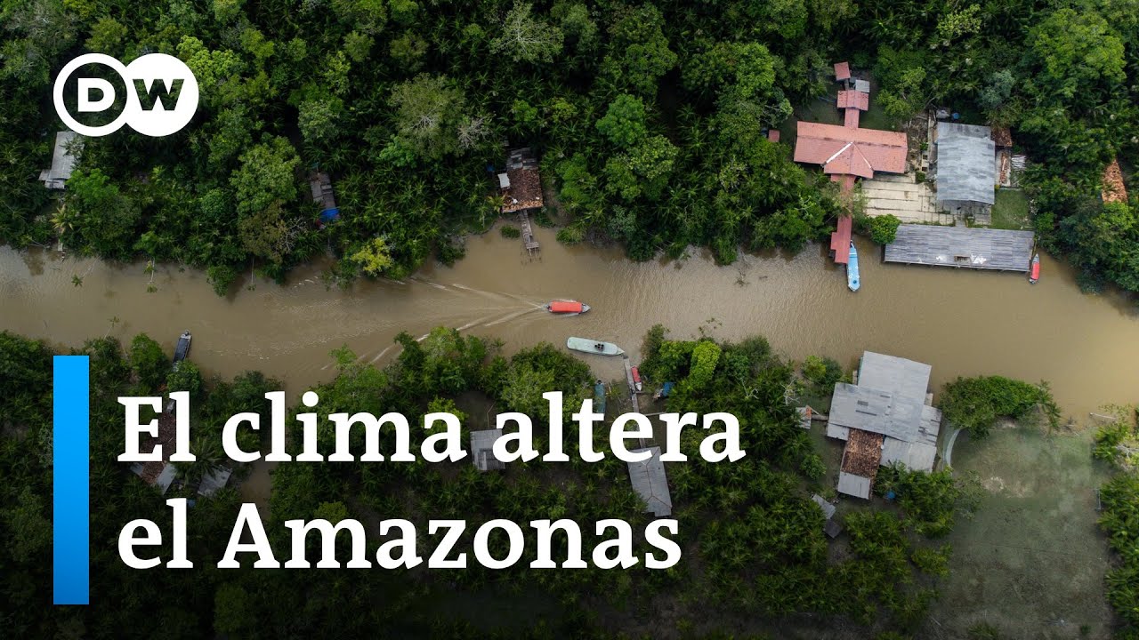 El cambio climático se hace palpable en las orillas del Amazonas - YouTube