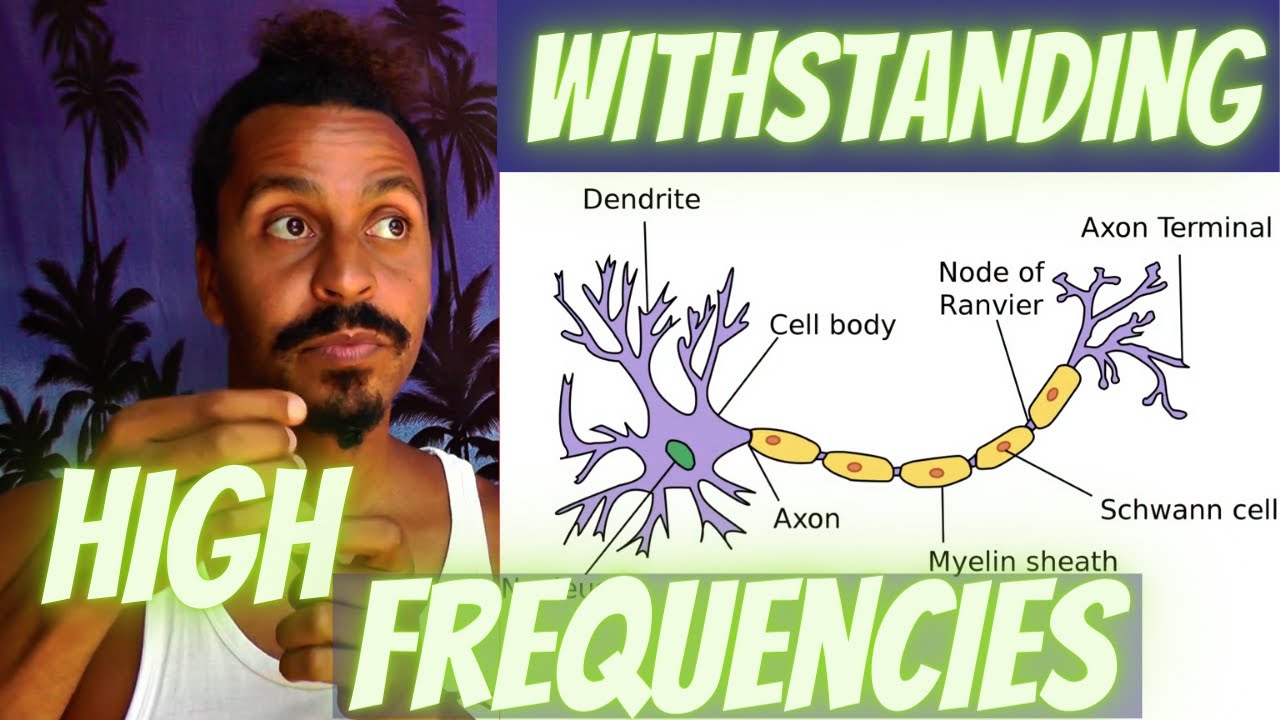 Getting Used to High Frequencies within the Body – Anatomical Vocal ...