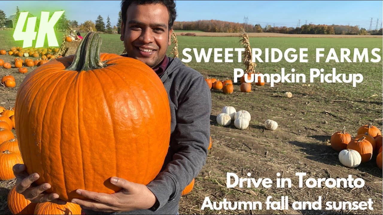 Canada Walk Tour: Drive to Sweet Ridge Farms for Pumpkin pickup through ...