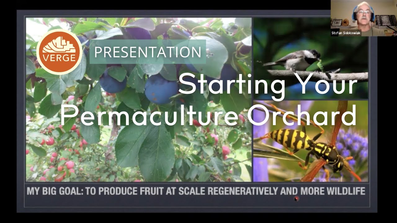 Starting Your Permaculture Orchard: Success Strategies - YouTube