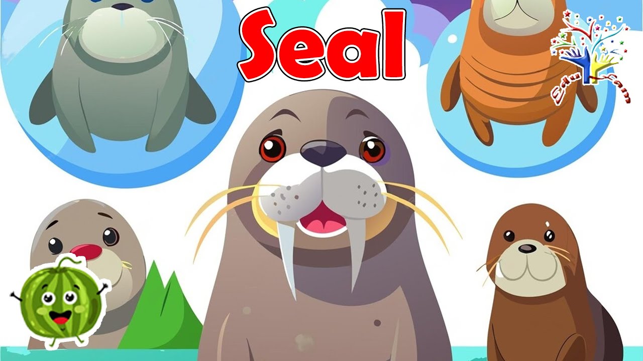 Animals Sounds Song | Seal | Seal Song | EduFam Nursery Rhymes & Kids ...