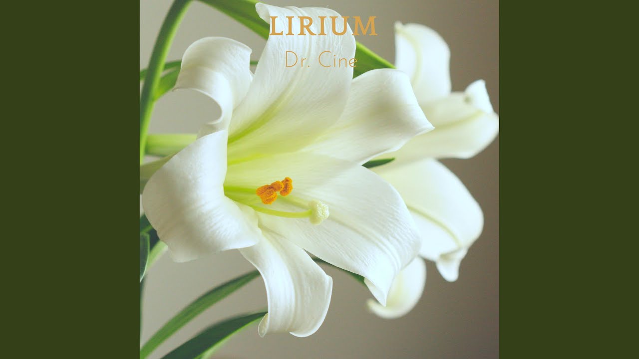 Lirium - YouTube Music