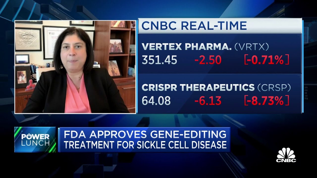 Patients describe Casgevy gene-editing treatment as a cure, says Vertex CEO Reshma Kewalramani ...