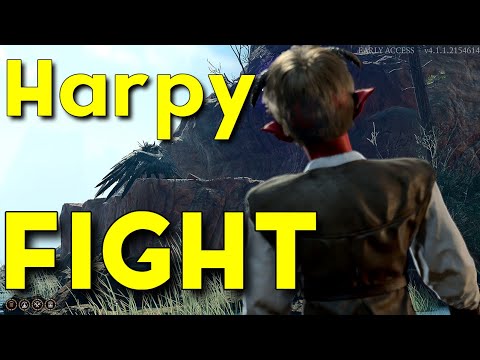 Harpy Fight - Baldur's Gate 3 - YouTube