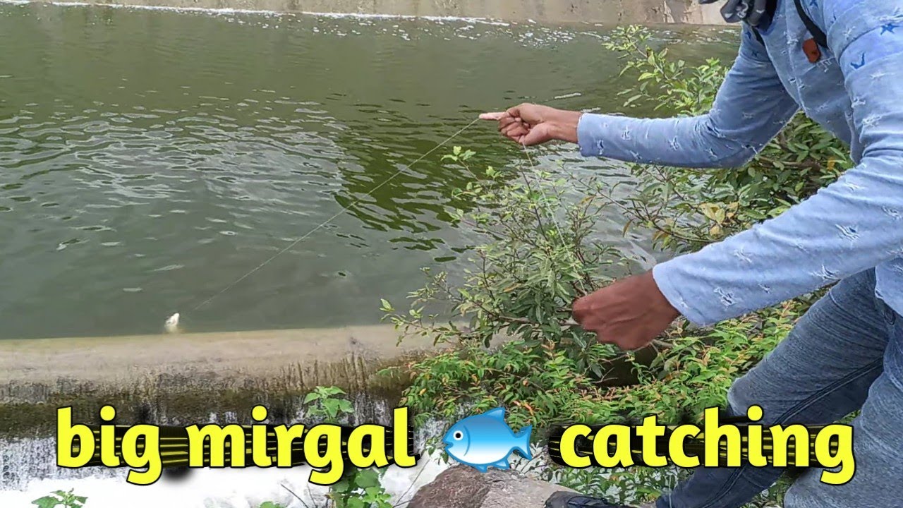 big mirgal 🐟 catching !! unique technique fish catching !! handline ...