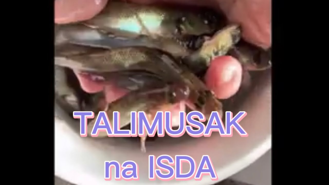 Talimusak na isda ️ - YouTube