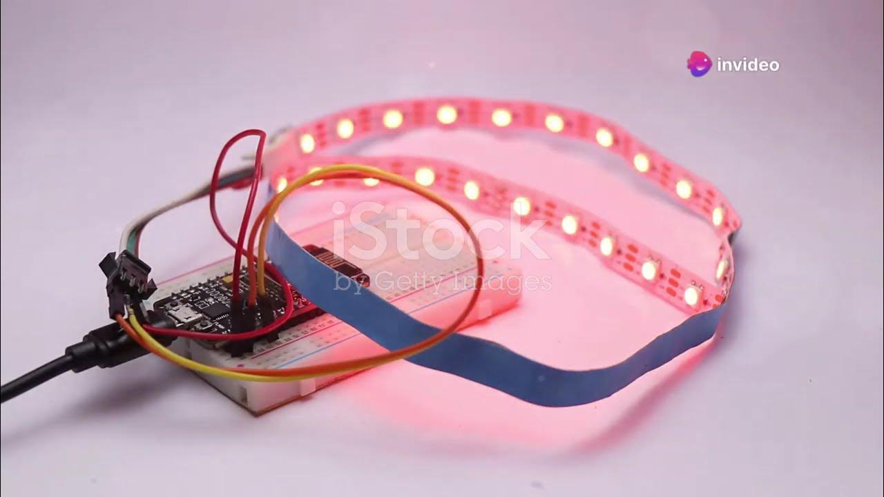 How to Connect Breadboard to Arduino: LED & Buzzer Tutorial with code ...