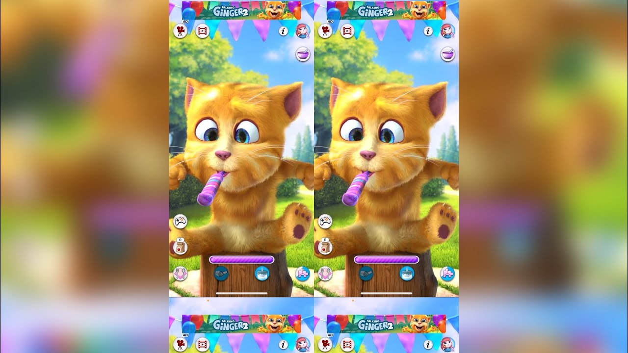talking ginger funny cat my talking ginger cat episode 245 - YouTube