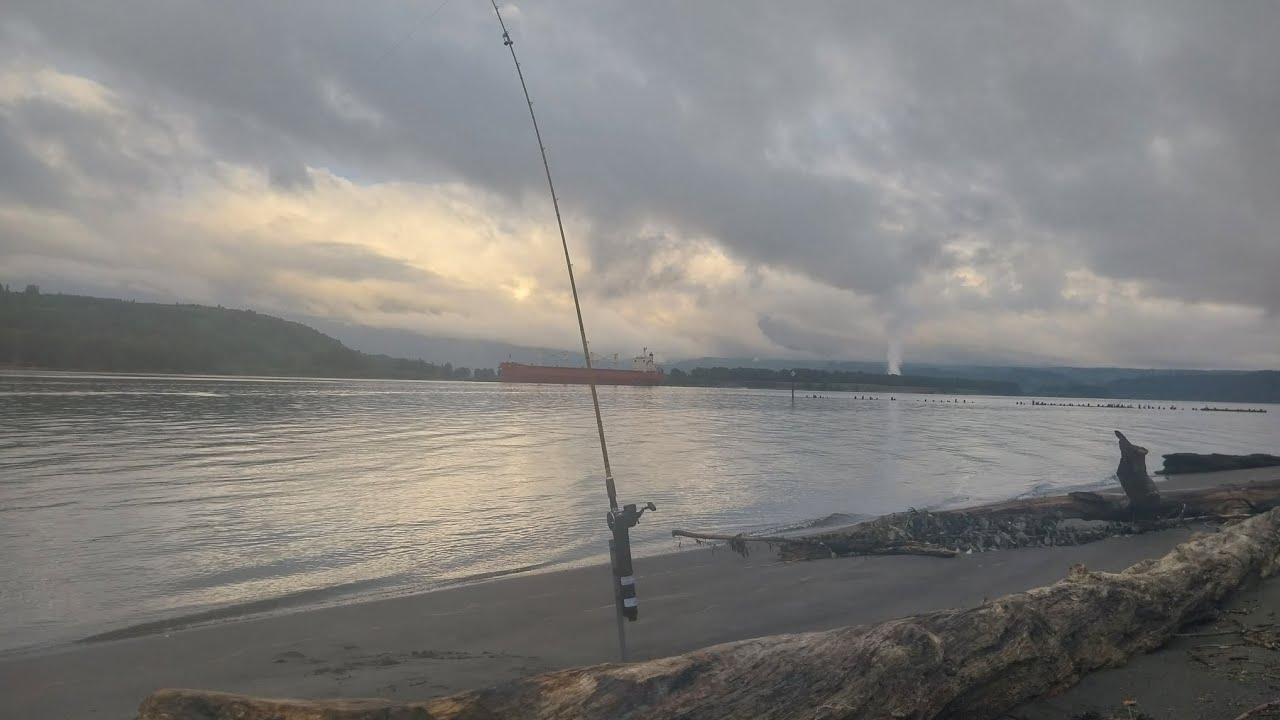 Summer steelhead plunking (first-time catch) - YouTube