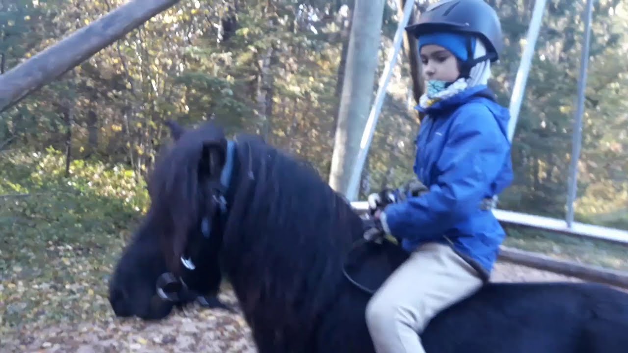 The first walk outside of a stable - YouTube