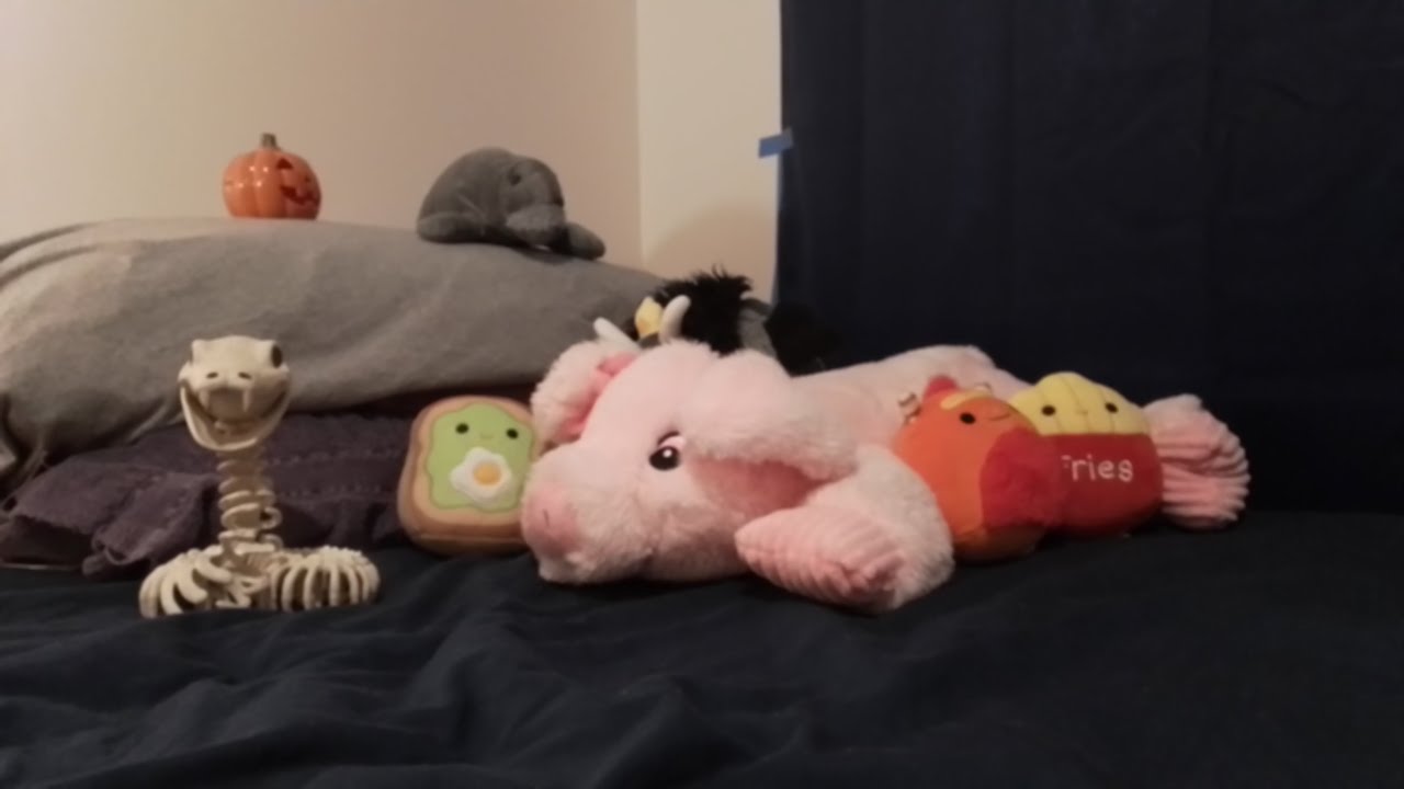 Physical Therapy Today, Radical Changes In Plans, Continued Befrazzling With New System Setup ...