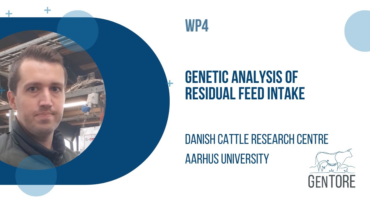 GENETIC ANALYSIS of RESIDUAL FEED INTAKE – GenTORE - YouTube