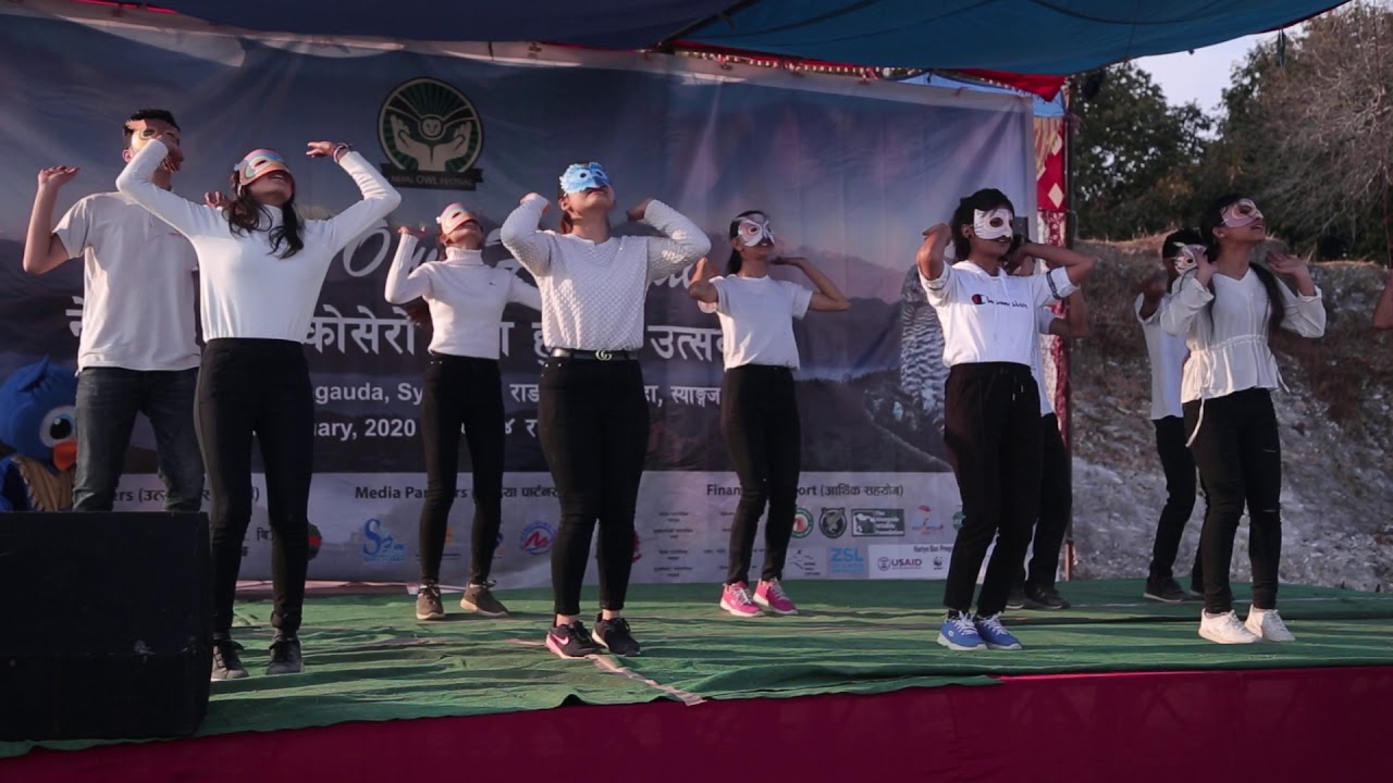 Owl Festival 2020 - YouTube