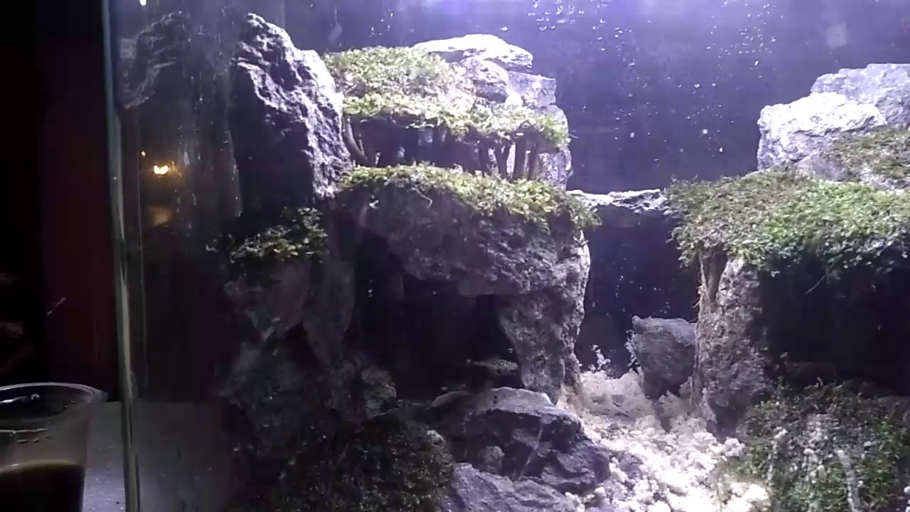 Aquascape 'hidden waterfall' - YouTube