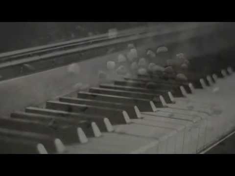 Jirka Mucha - Music Speaks