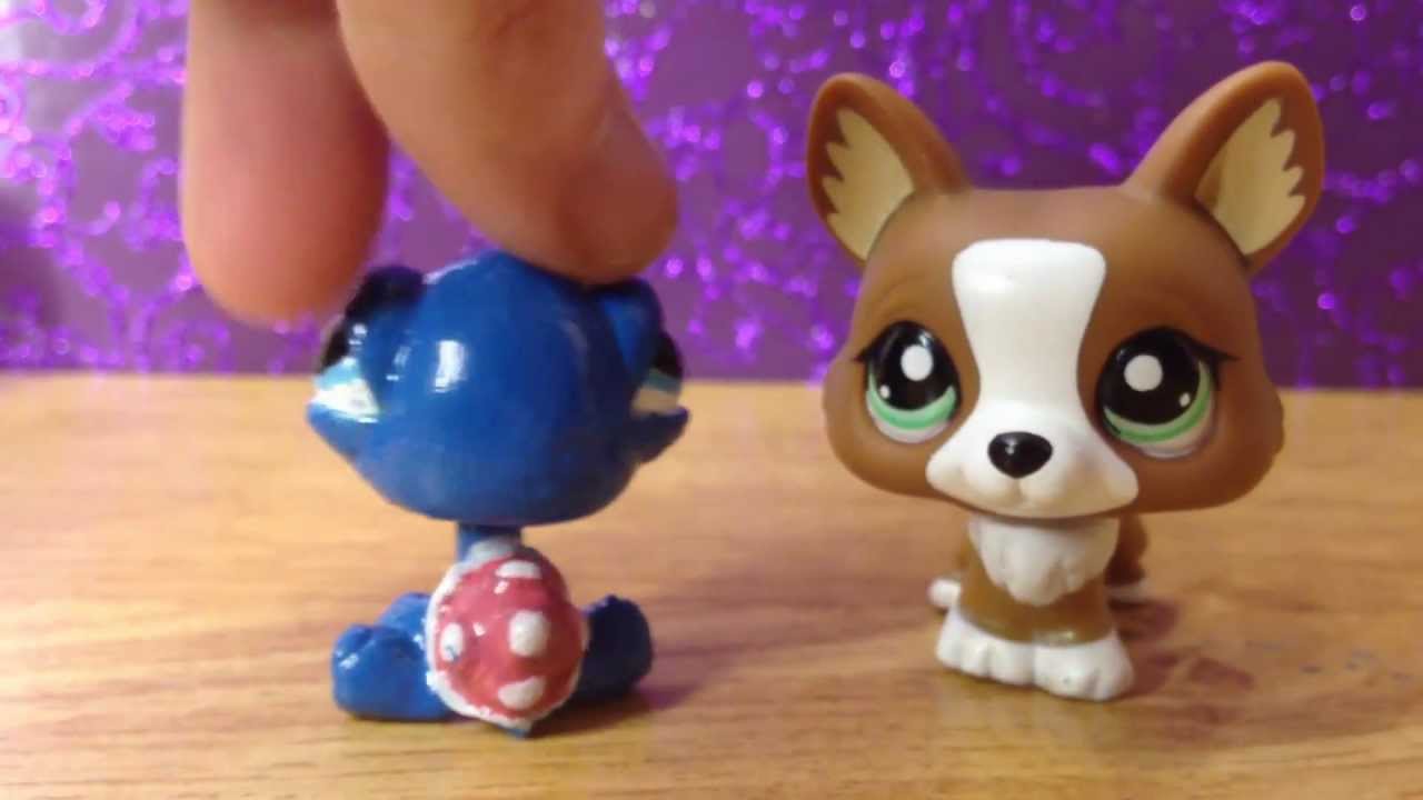 Littlest Pet Shop Custom Pets Are HERE! - YouTube