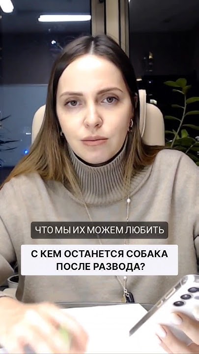 С кем останутся животные после развода? #животные #развод # ...
