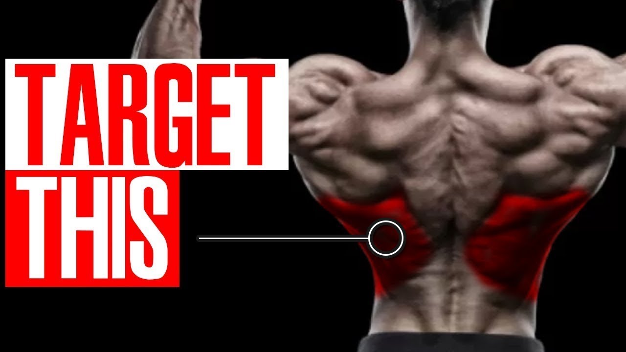 Stronger back muscle exercises and amplify them faster - YouTube