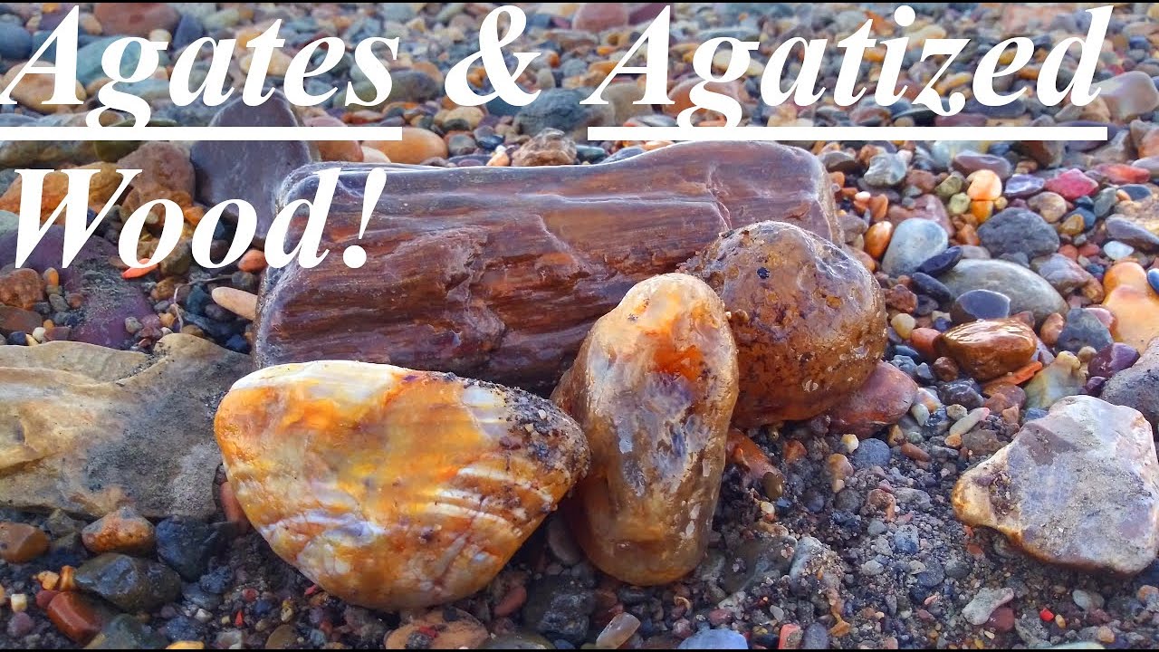 Gorgeous AGATIZED WOOD and MOSS AGATES! Late Autumn Riverbed Rock Hunt ...
