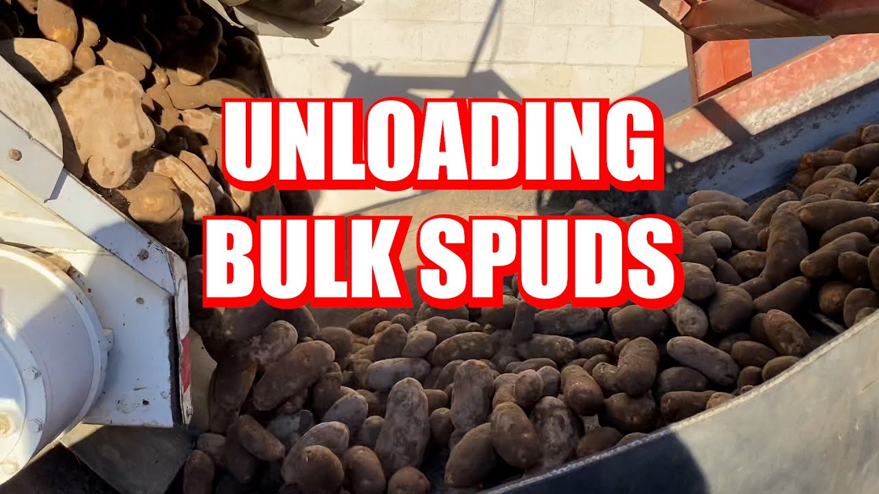 Unloading Bulk Spuds - YouTube