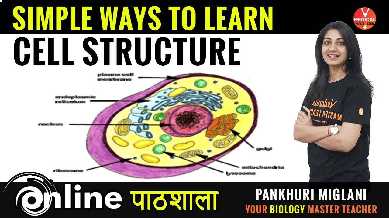 Biology | Learn Cell Theory In Just 30 Minutes | Cell Organelle - Part ...