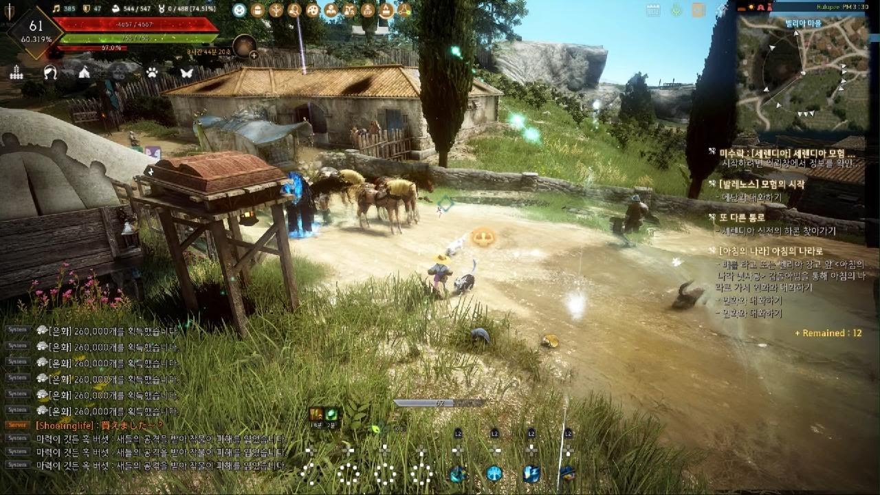 4K Mode Account Bug! Black Desert Console Bug - YouTube