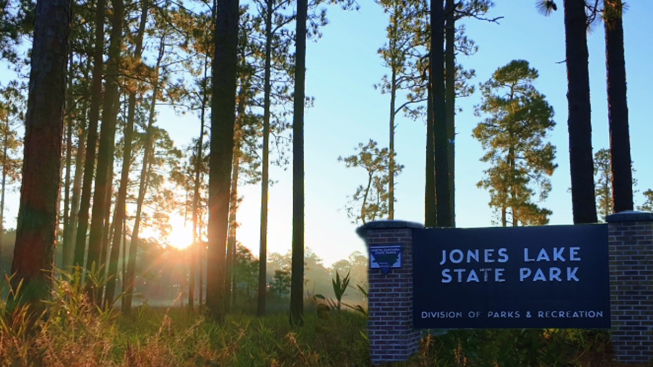 Unique Views - Jones Lake State Park - YouTube