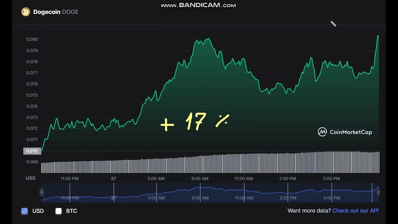 🚀 + 17 % Dogecoin DOGE - Dogecoin to USD Chart - YouTube