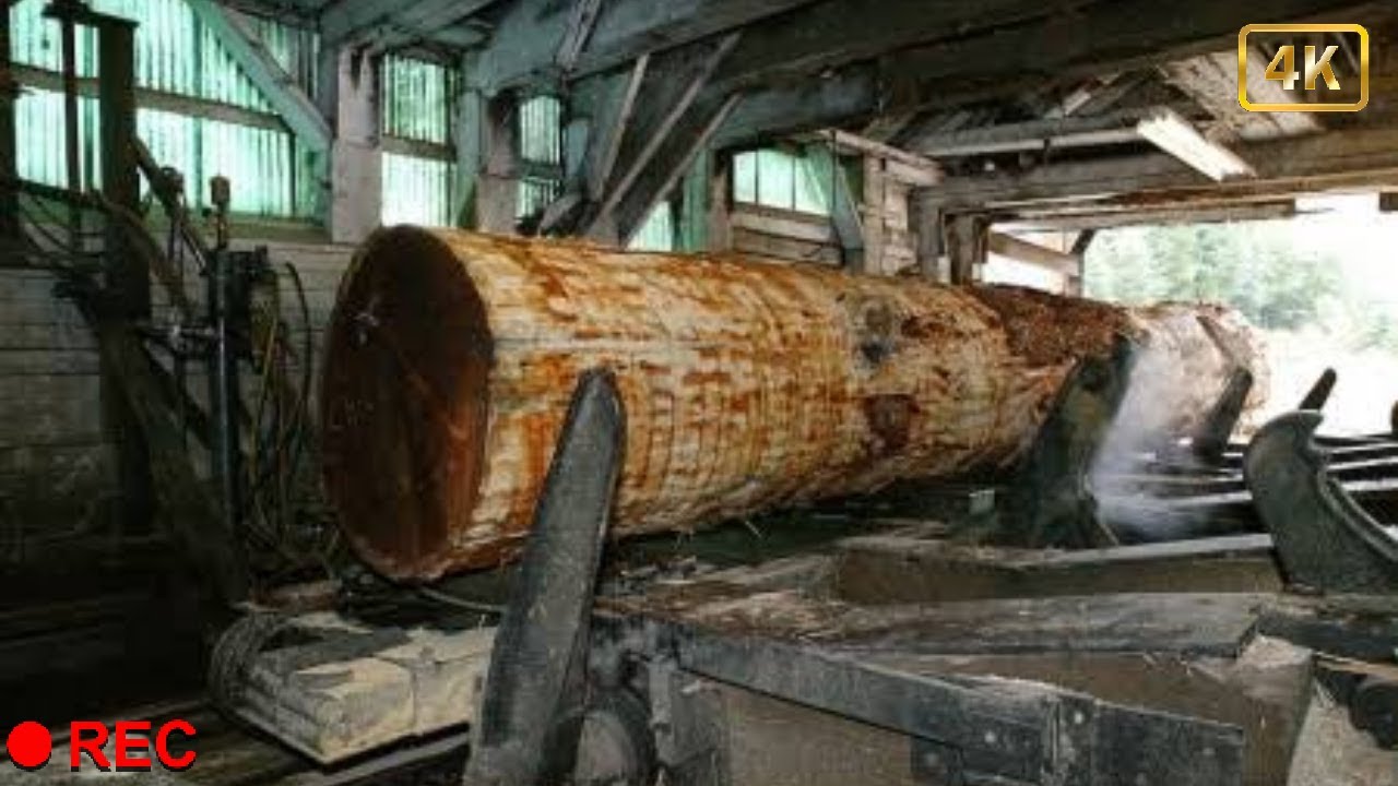 big wood sawmill, Amazing Biggest Wood Sawmill Machines Modern ...
