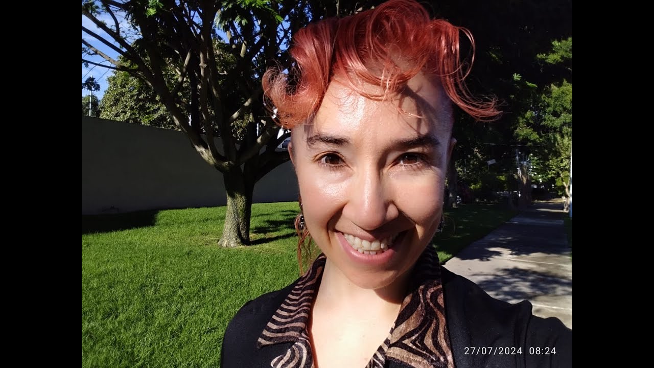 Brandy Ruvalcaba "Differences between Sign Languages and Visual ...