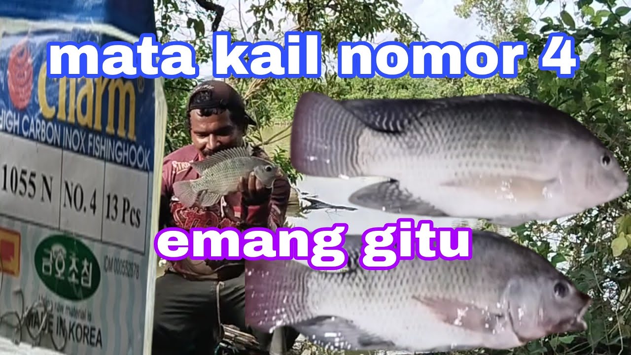 saya# kira mata# kail nomor 4 tidak# bisa Strike ikan nila babon - YouTube