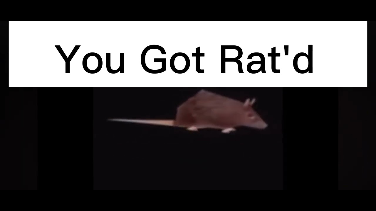 You got Rat'd - YouTube