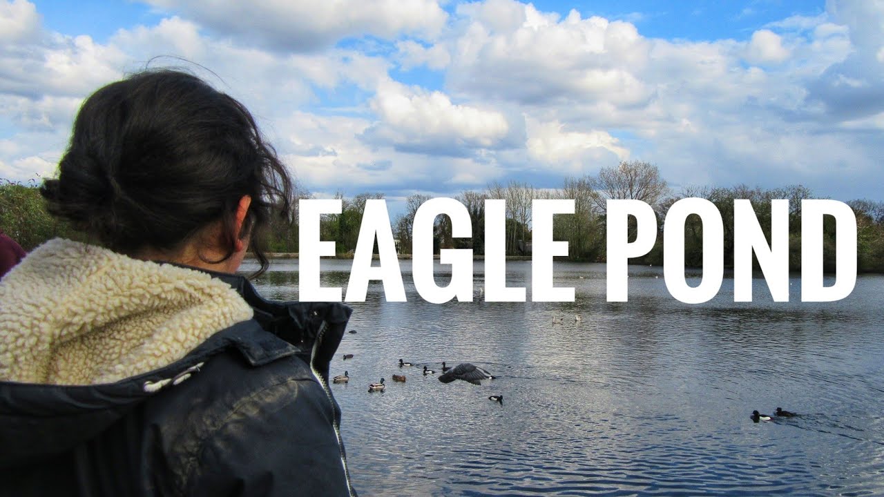 Eagle Pond - YouTube