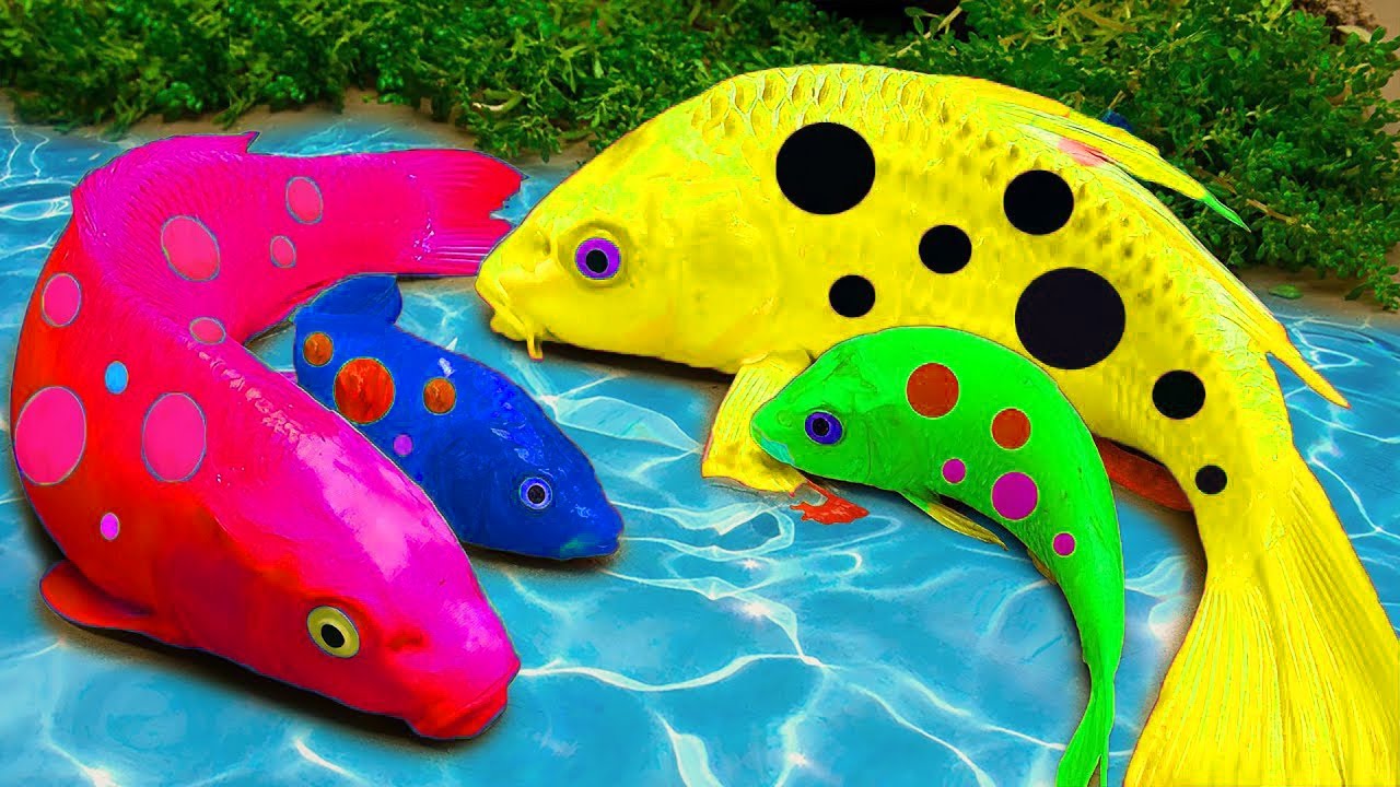 Full Video Carp, Koi, Eel, Catfish, Crabs, Eggs - Primitive cooking ...