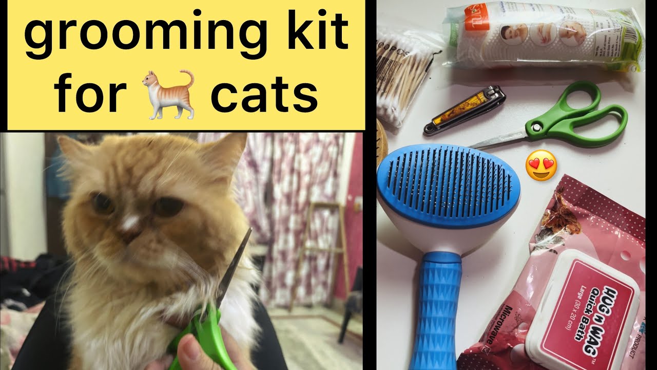 Grooming Kit For Cat || 5 CAT GROOMING PRODUCTS!! - YouTube