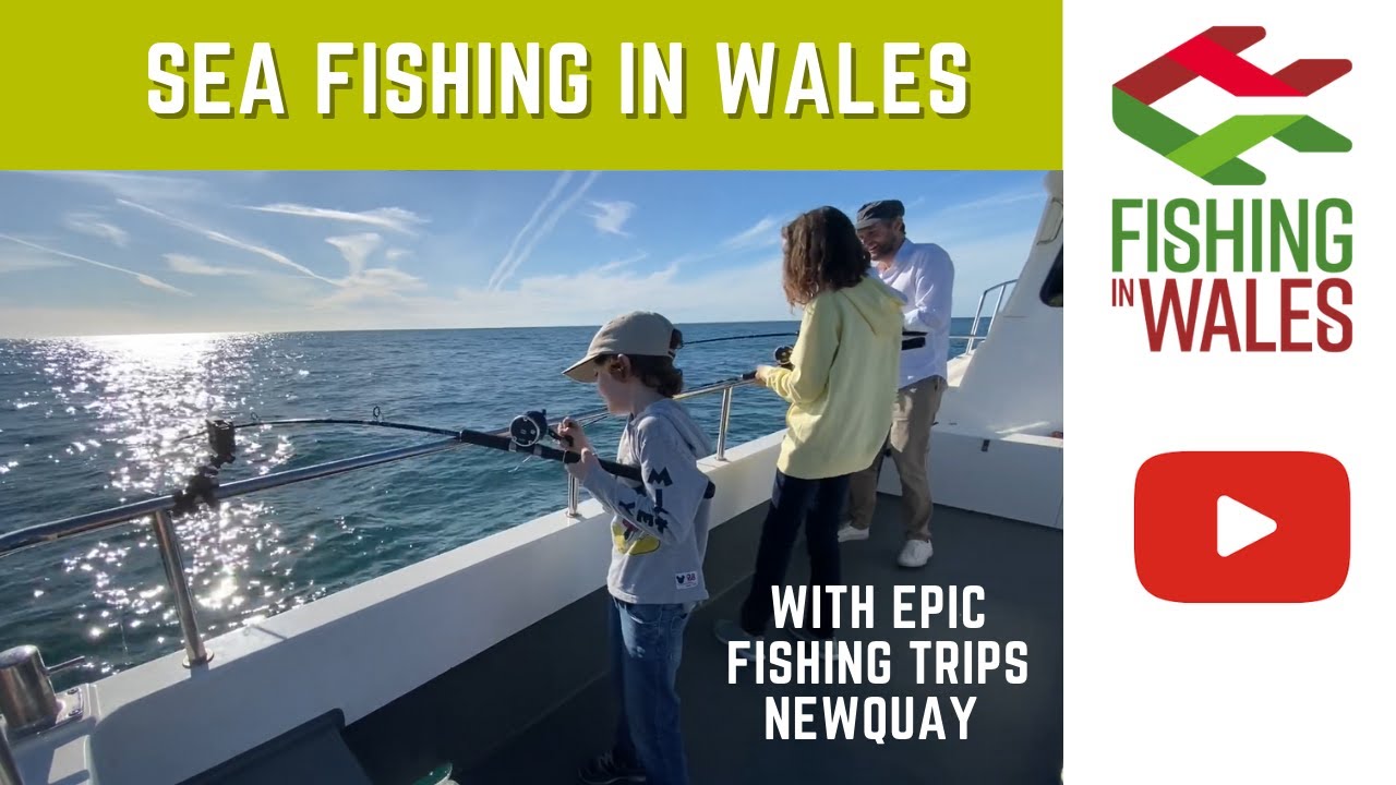 Sea Fishing In Wales - Epic Fishing Trips Newquay - YouTube