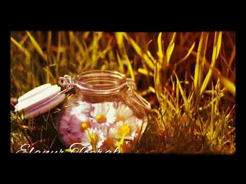 Bahadır Sağlam-Kır papatyası sözleri