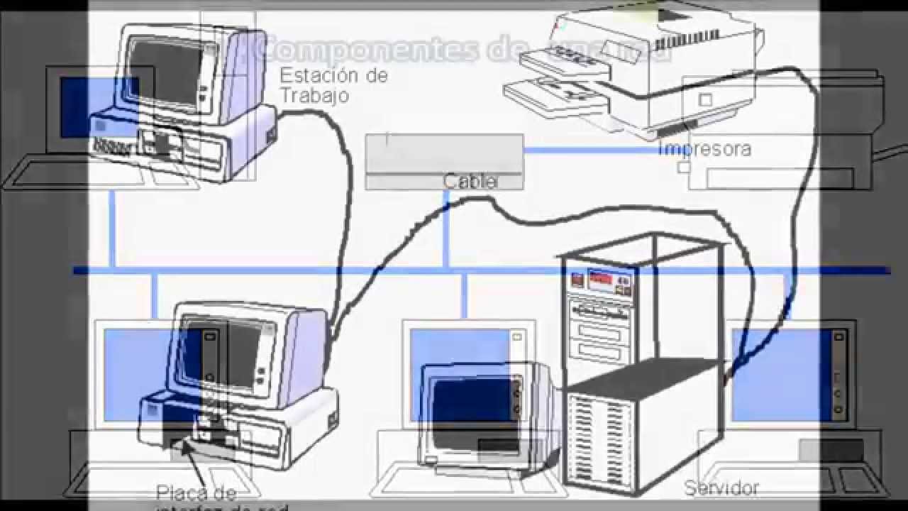 Componentes de una red - YouTube