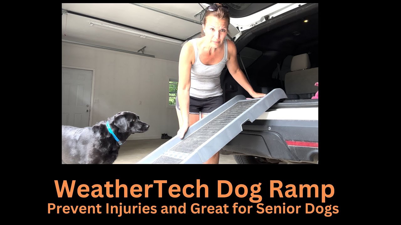 Weathertech Dog Ramp Prevents Injuries and Senior Dog Approved! - YouTube