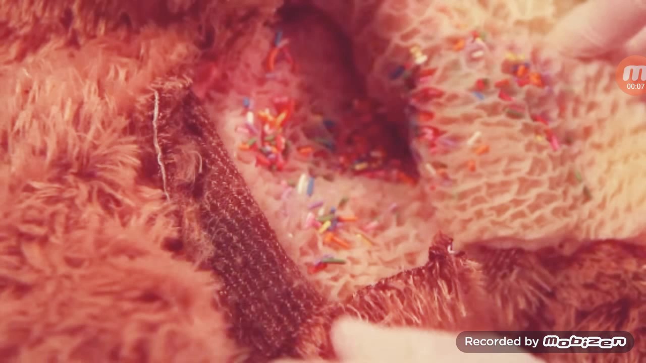 Teddy gets an operation - YouTube